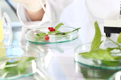 Croda adquiere Solus Biotech y amplía su cartera de productos ...
